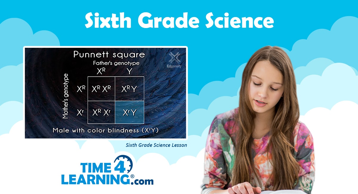 6th Grade Science Curriculum Time4Learning